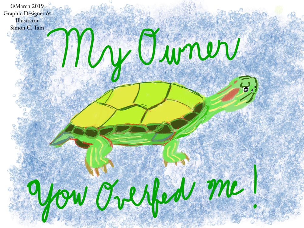 I Overfed My Redeared-Slider Turtle | Skillshare Student Project