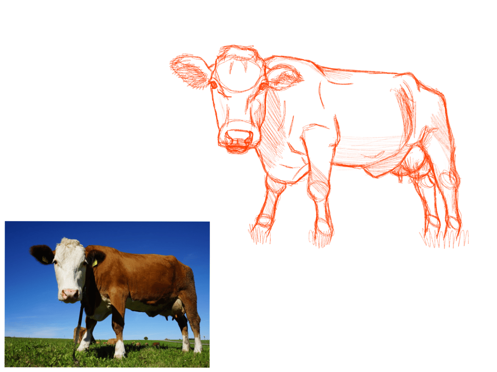 Cow character design | Skillshare Student Project