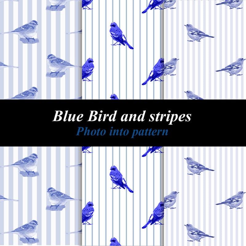Blue Bird and stripes | Skillshare Student Project