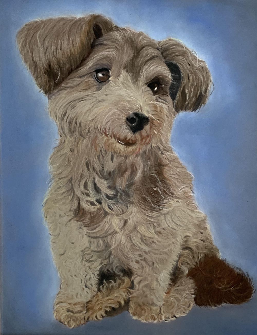 My first dog portrait | Skillshare Student Project