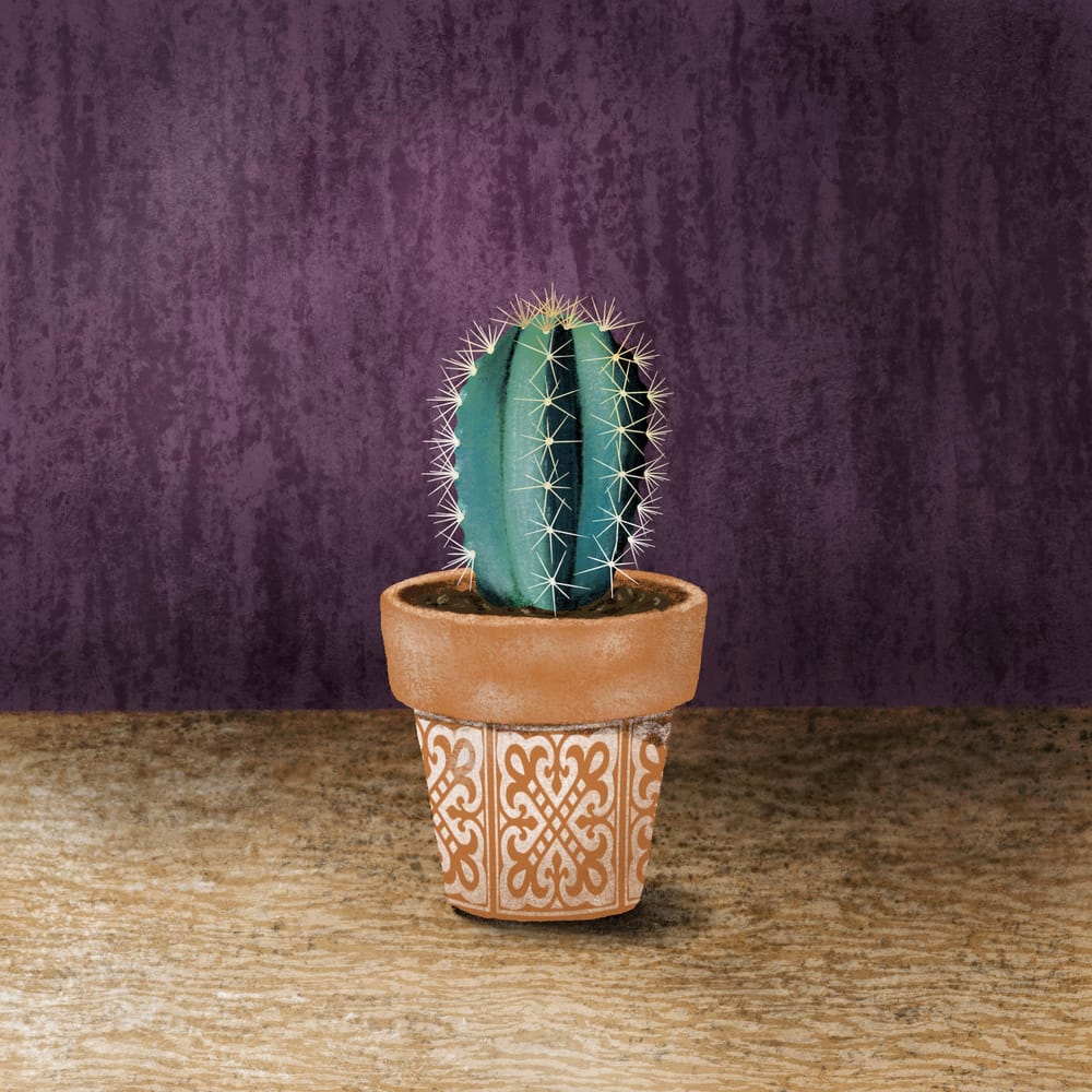 Cactus | Skillshare Student Project