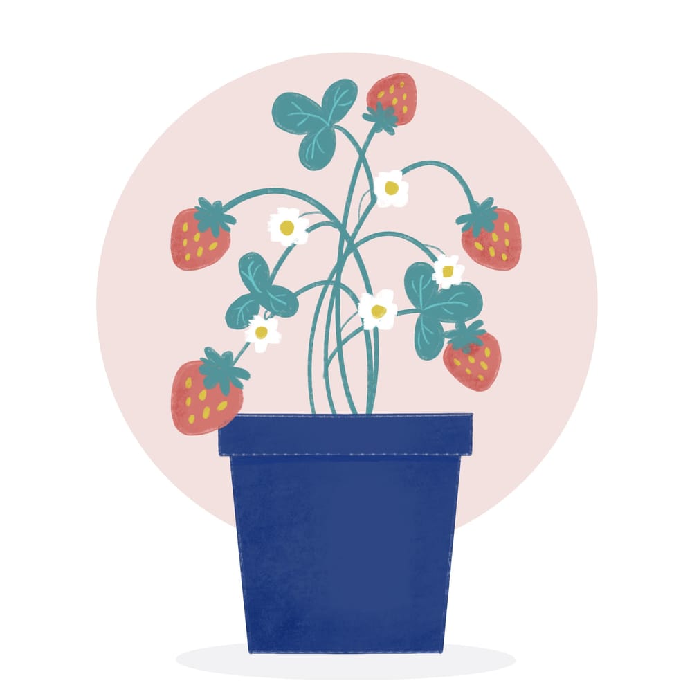 Paper Cut Play in Procreate | Skillshare Student Project