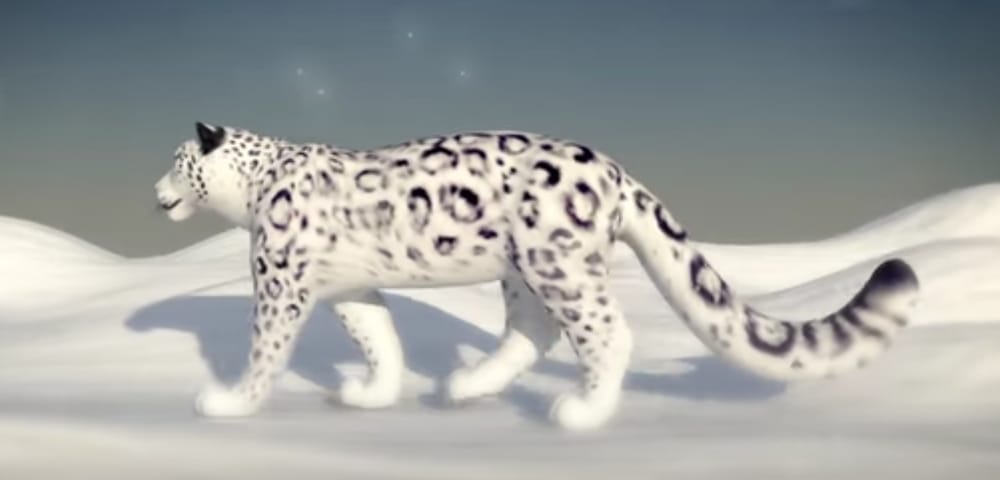 Snow Leopard - Stop Hunting | Skillshare Student Project