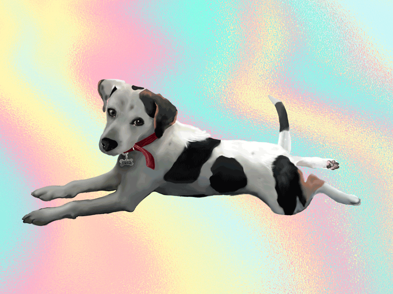 A waggle dog | Skillshare Student Project