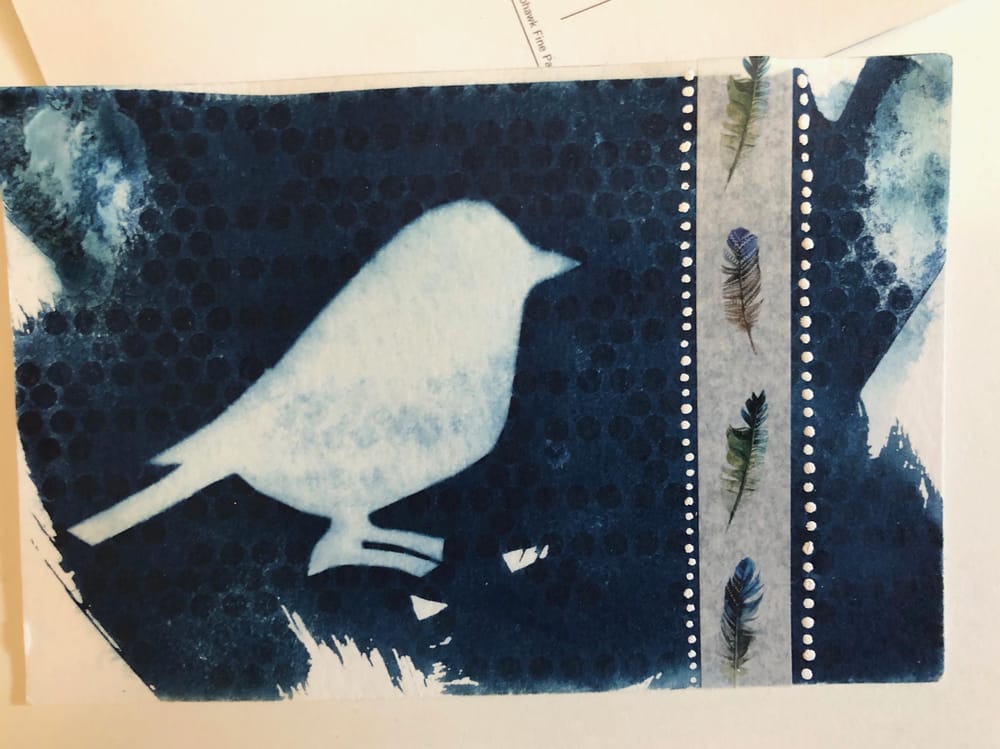 Cyanotype Samples | Skillshare Student Project