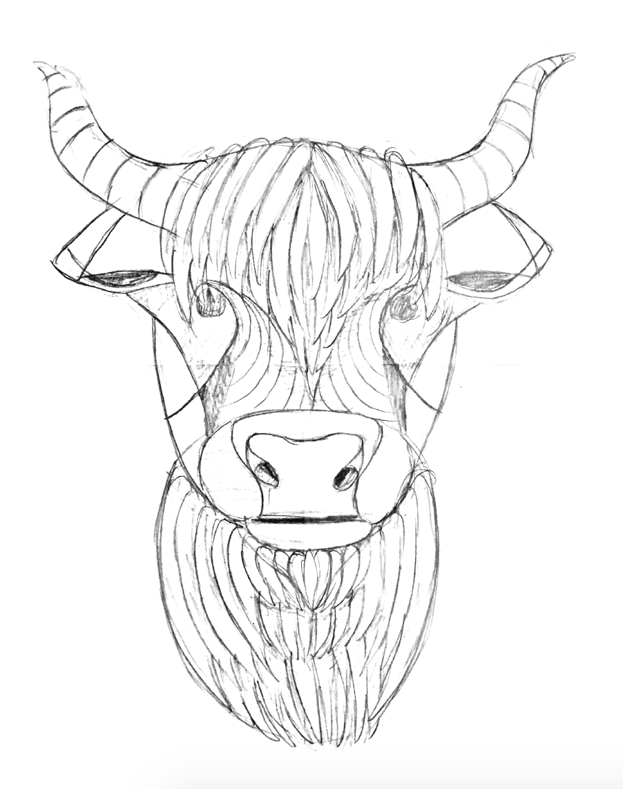 Hamish the Highland Cow | Skillshare Student Project