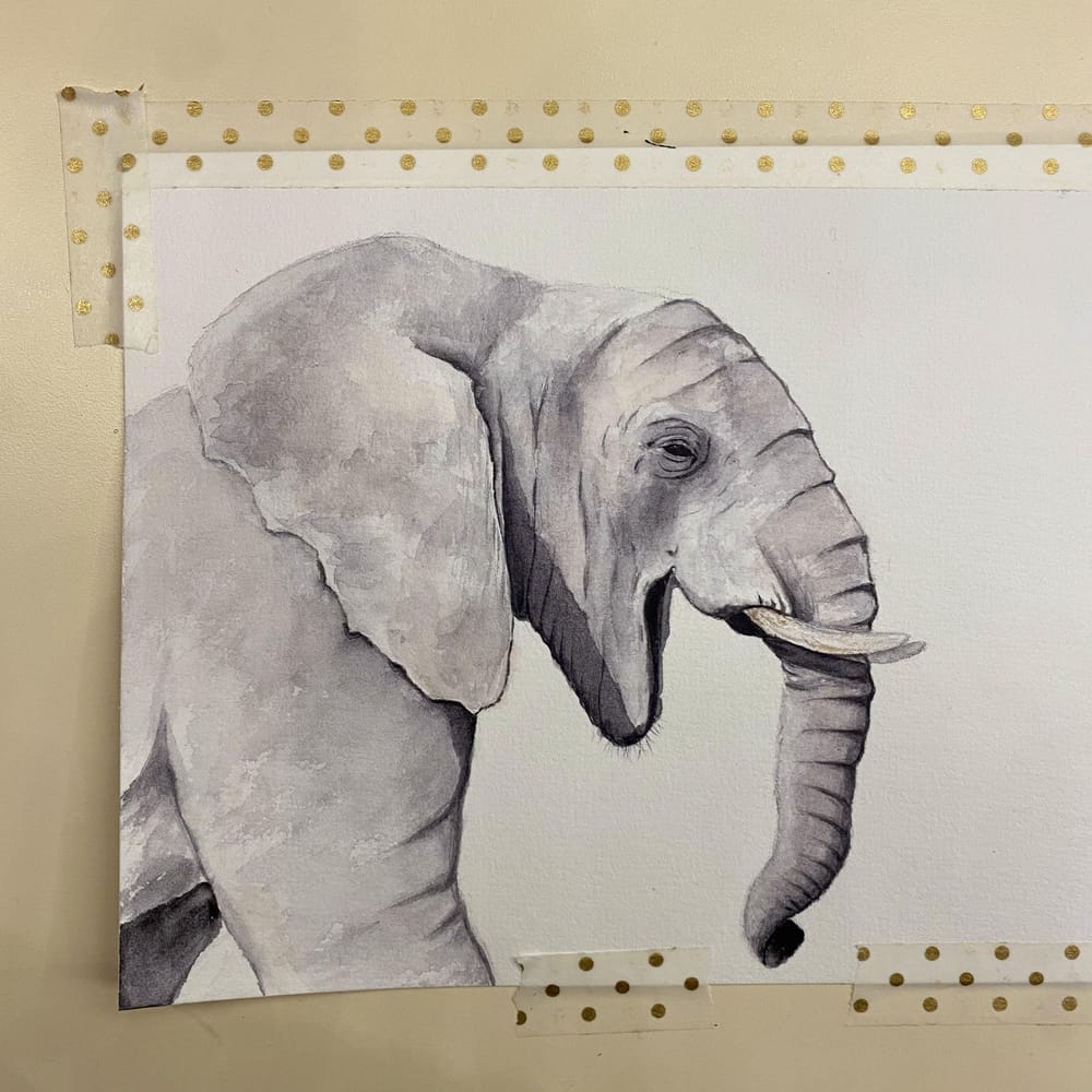 Rhinoceros and personal practice | Skillshare Student Project