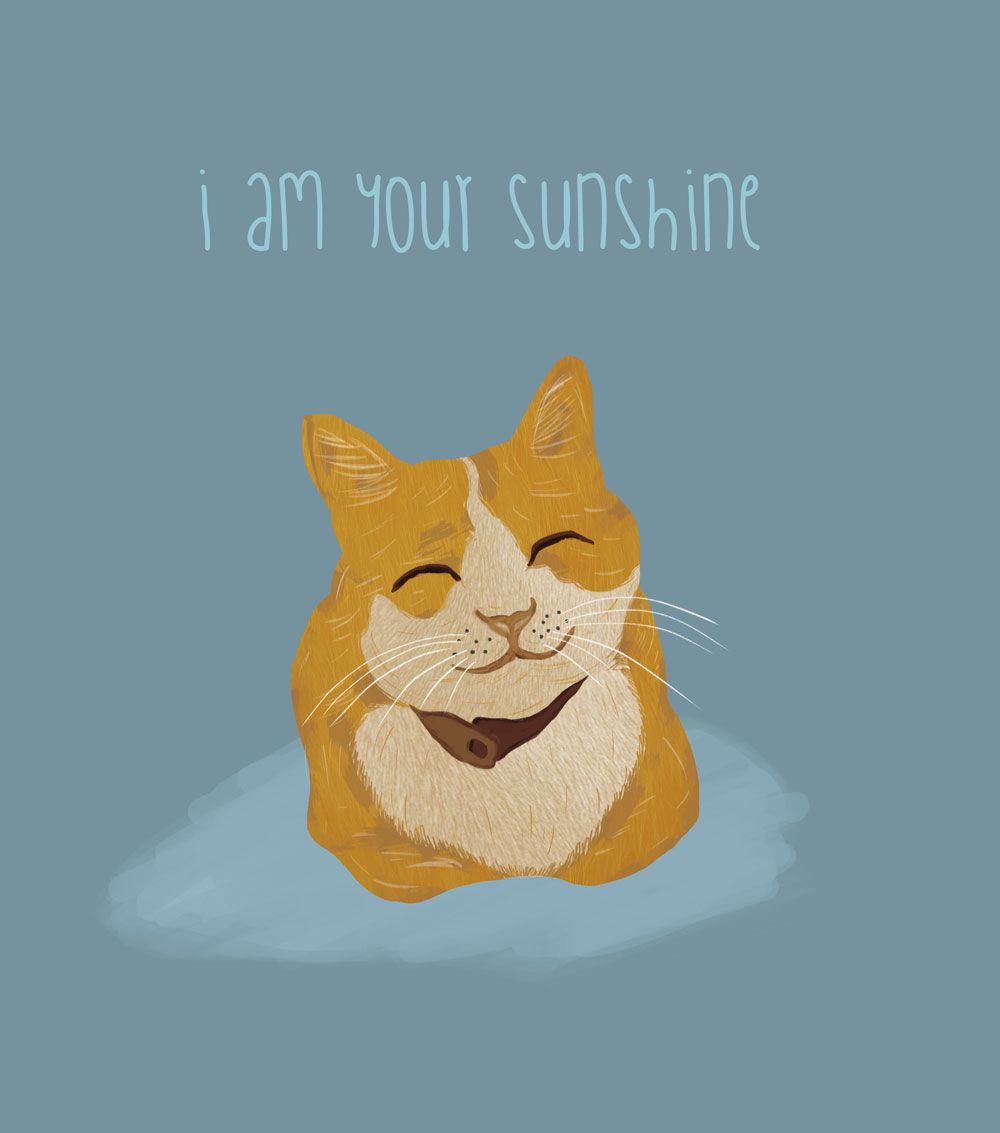 Sunshine Cat | Skillshare Student Project
