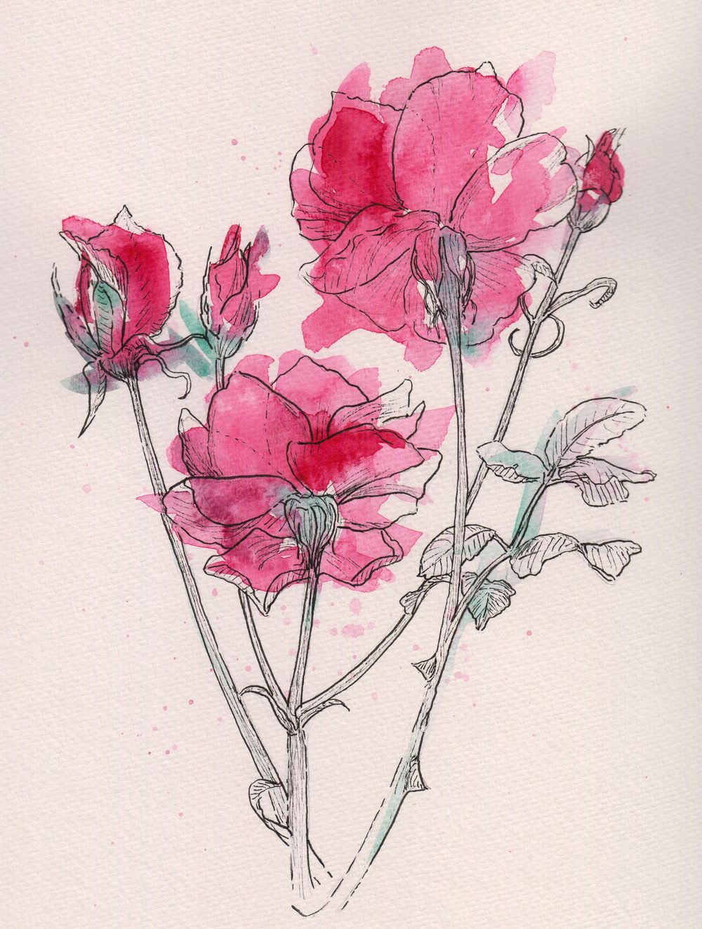 Averted Roses Skillshare Student Project averted-roses-skillshare-student-project