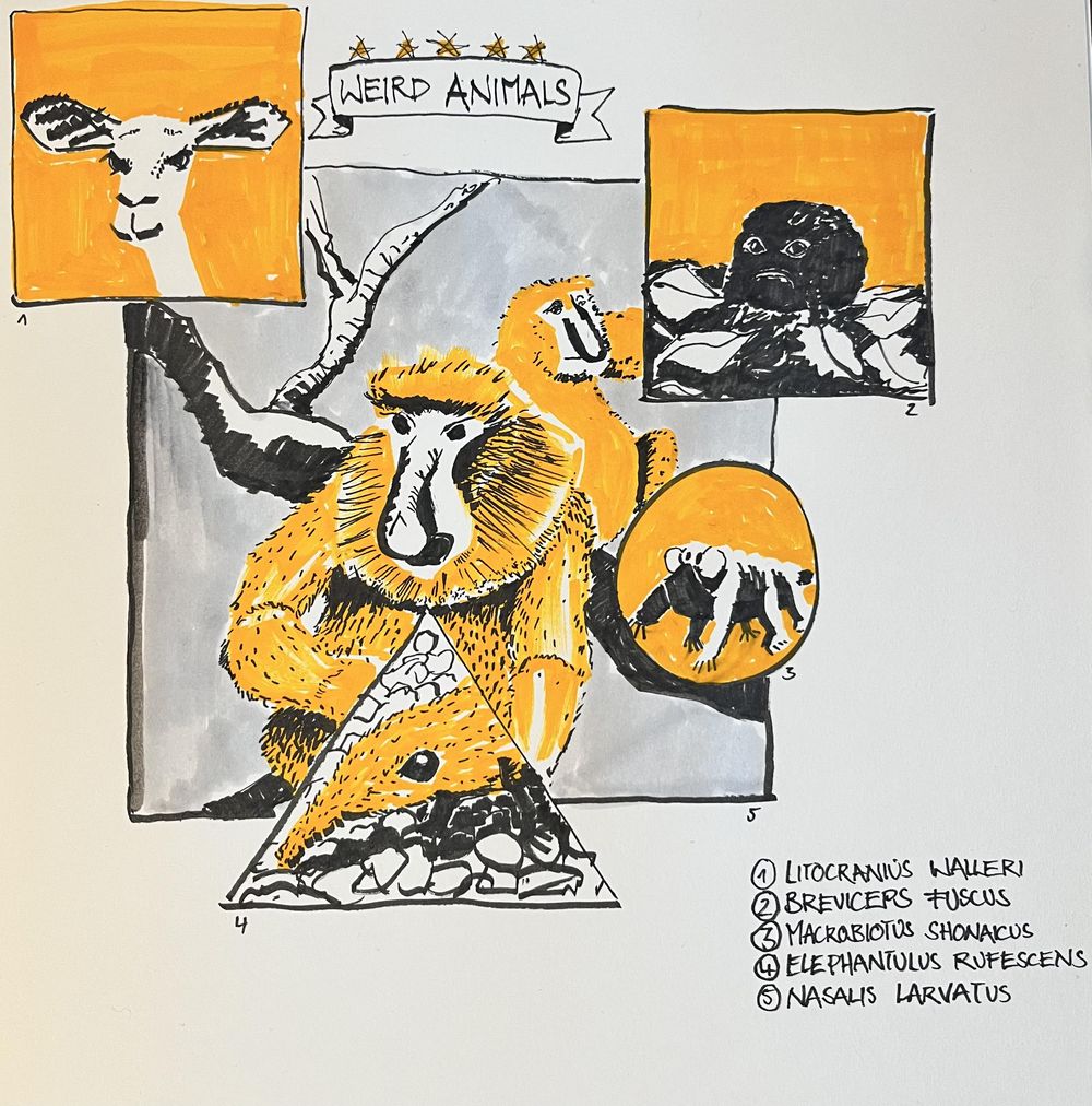 Sometimes always drawing | Skillshare Student Project