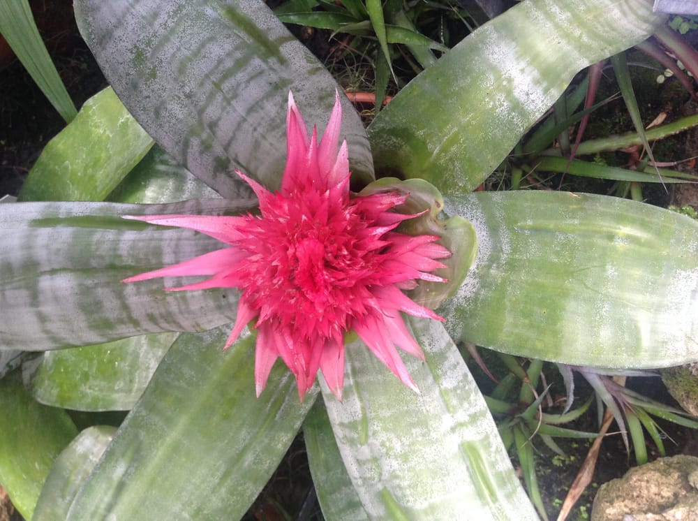 Surreal Chicago | Skillshare Student Project