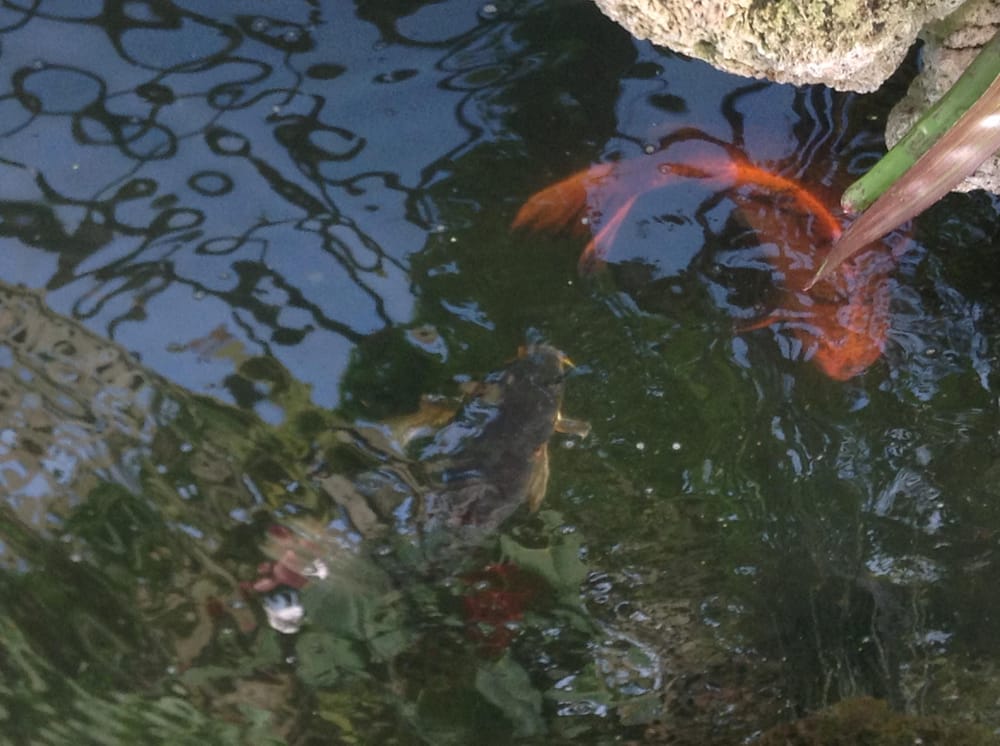 Surreal Chicago | Skillshare Student Project