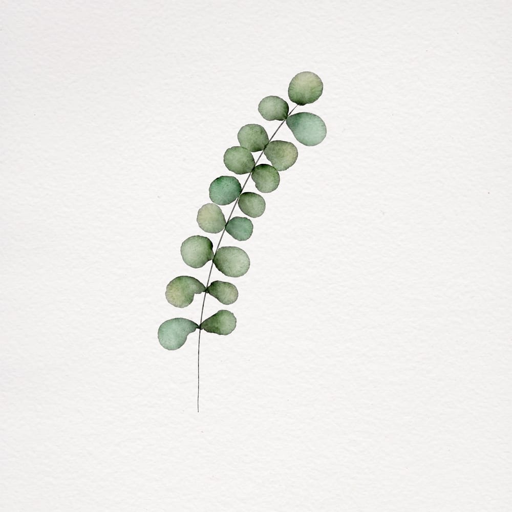 My projects | Skillshare Student Project