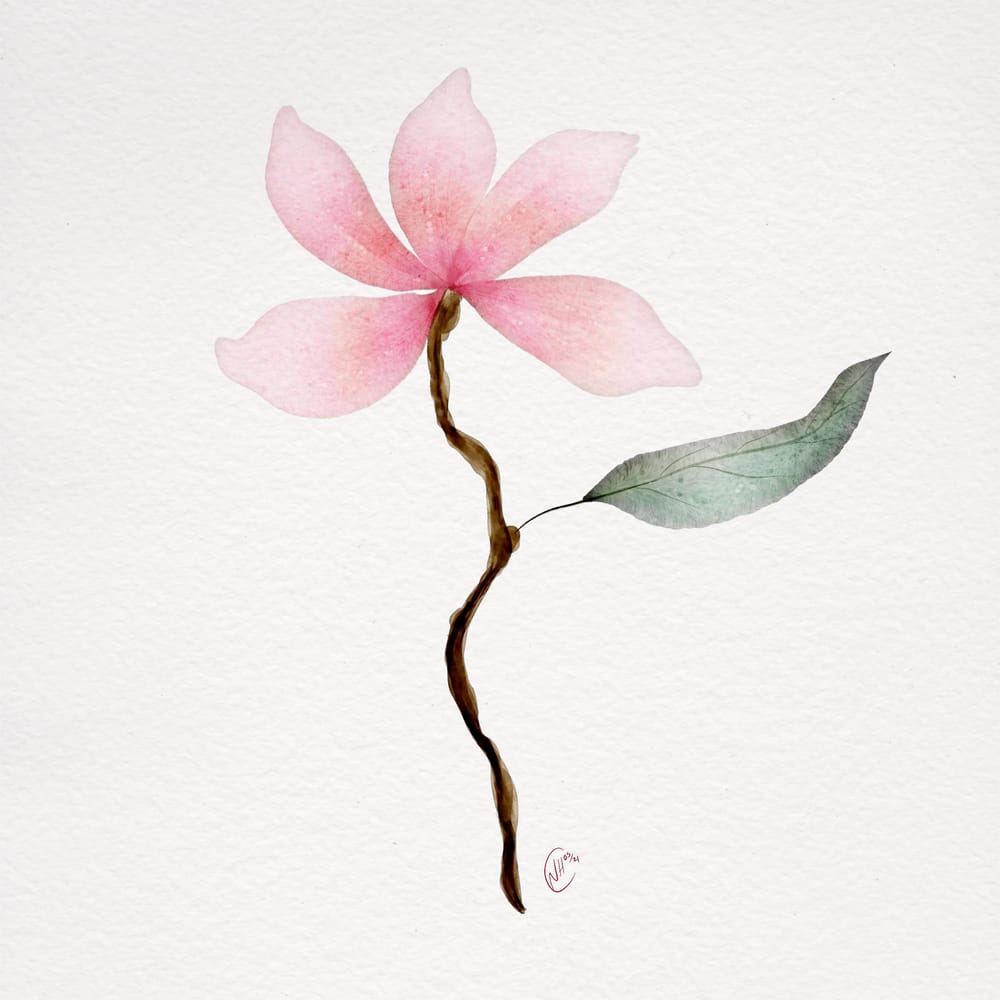 My projects | Skillshare Student Project