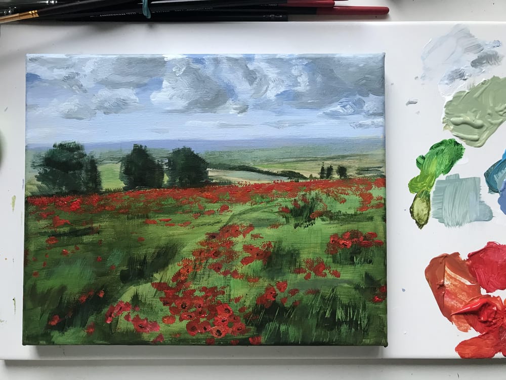 Poppy field | Skillshare Student Project