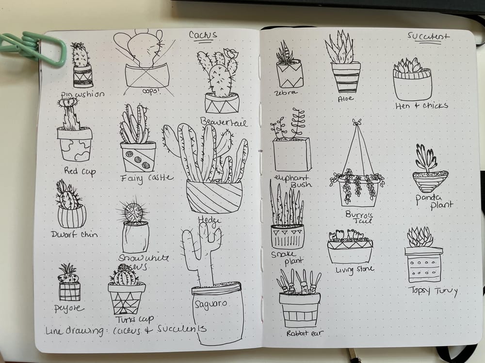 Line drawings | Skillshare Student Project