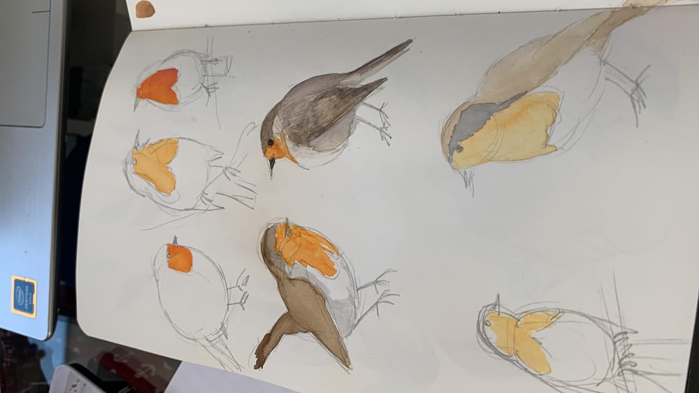 Bird Study | Skillshare Student Project