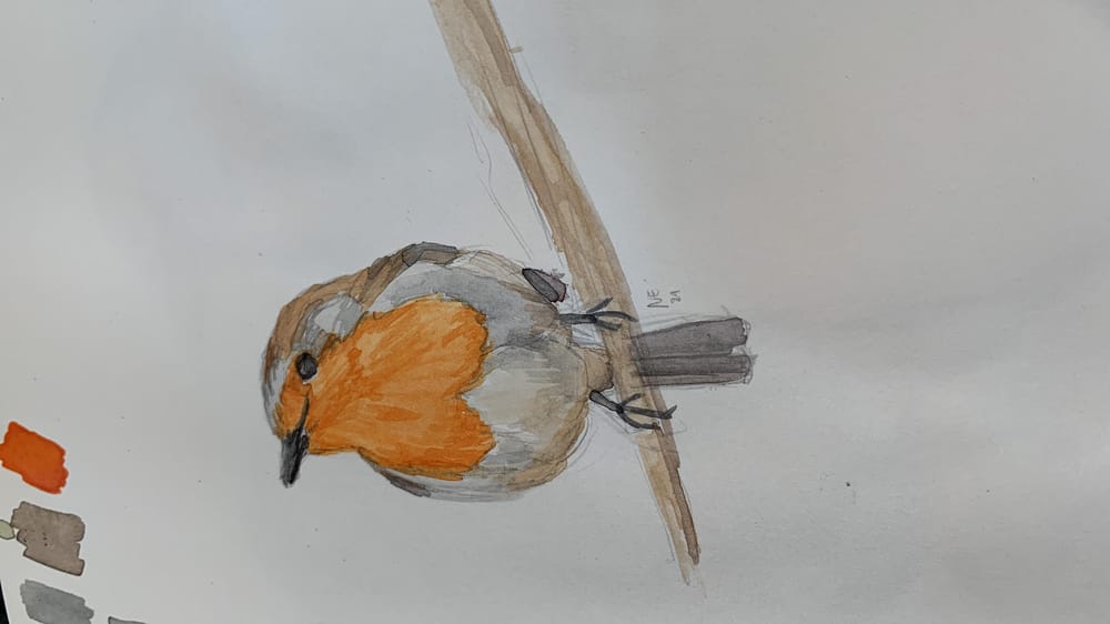 Bird Study | Skillshare Student Project