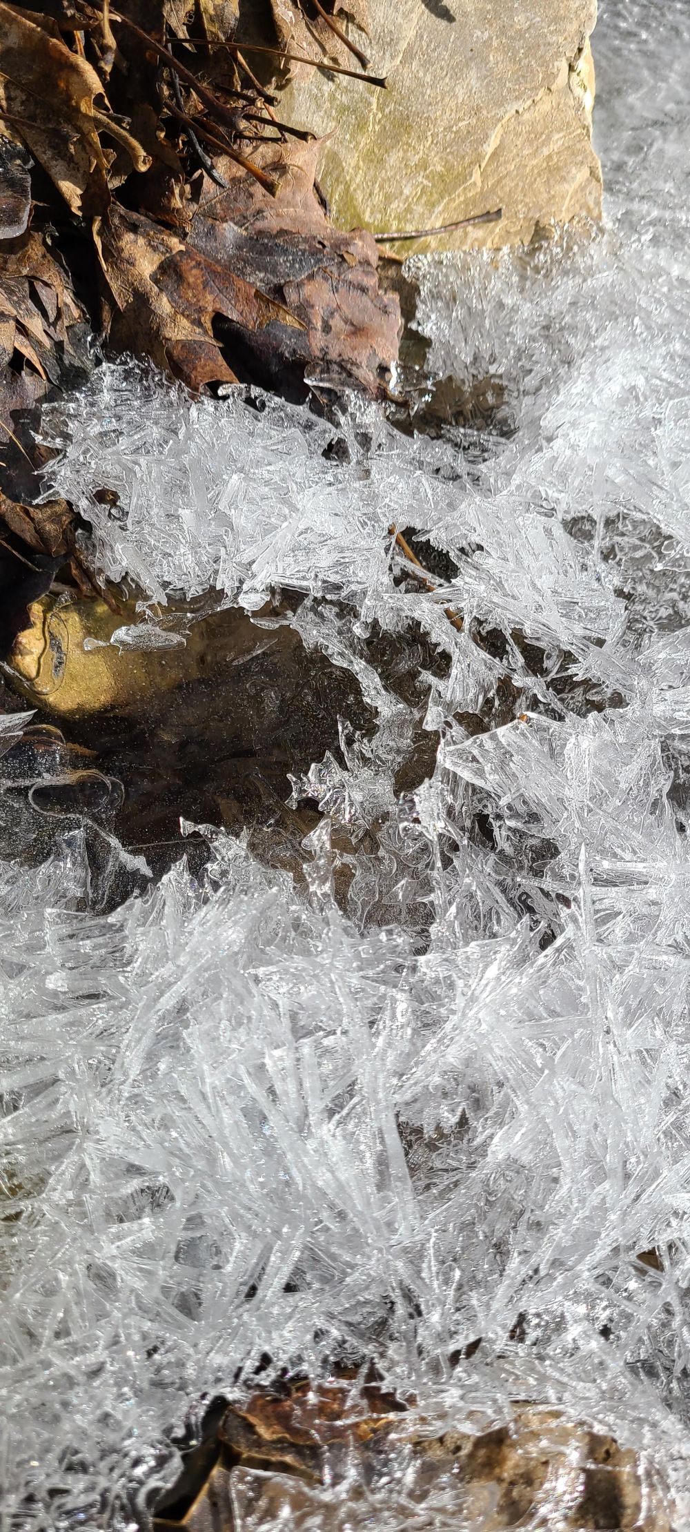 3 views | Skillshare Student Project