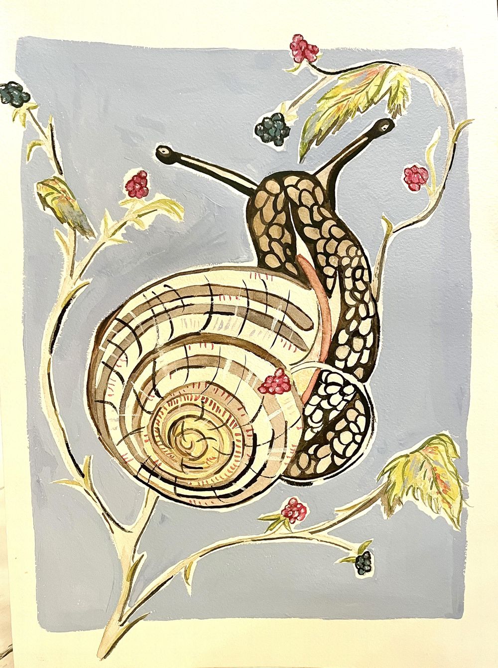 Snail | Skillshare Student Project