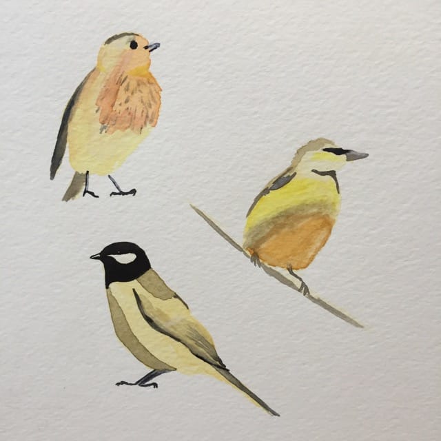 My Sketchbook | Skillshare Student Project