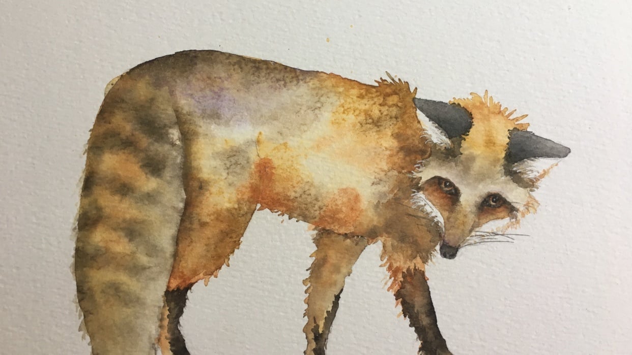 Fox | Skillshare Student Project