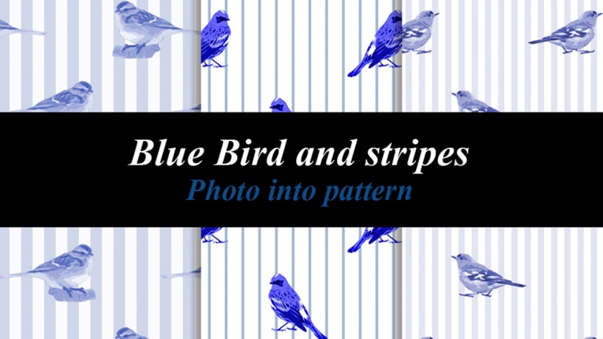 Blue Bird and stripes | Skillshare Student Project