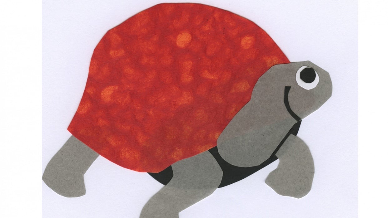 Little Turtle | Skillshare Student Project