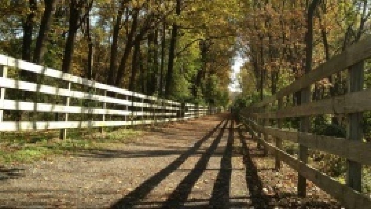 capital crescent trail - the highlights! | Skillshare Student Project