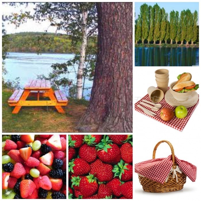 Riverside Picnic | Skillshare Student Project