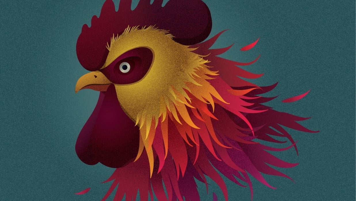 Rooster | Skillshare Student Project