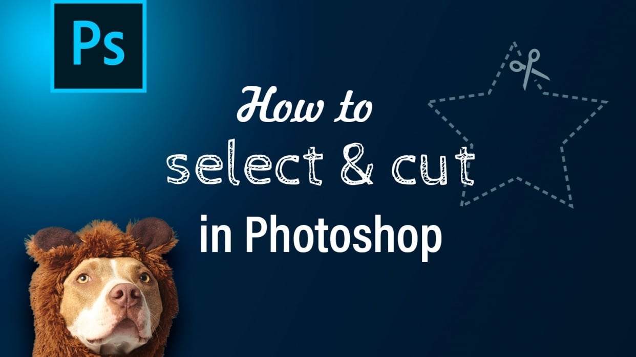 How to select & cut in Photoshop - IS ONLINE :) | Skillshare Student ...