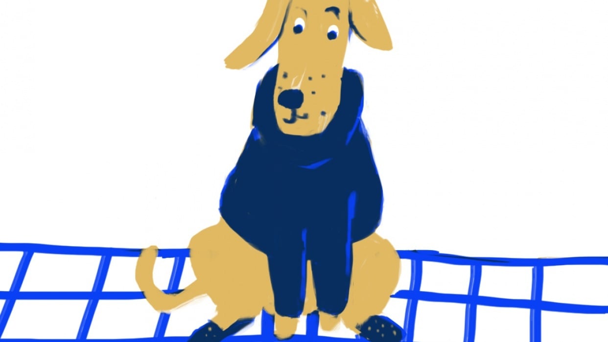 Confused Dog | Skillshare Student Project