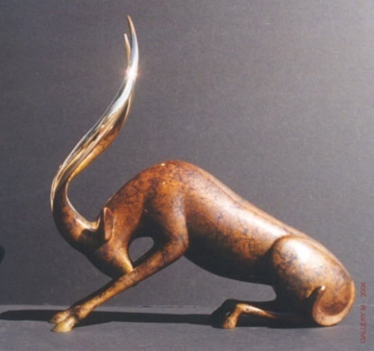 Gazelle | Skillshare Student Project