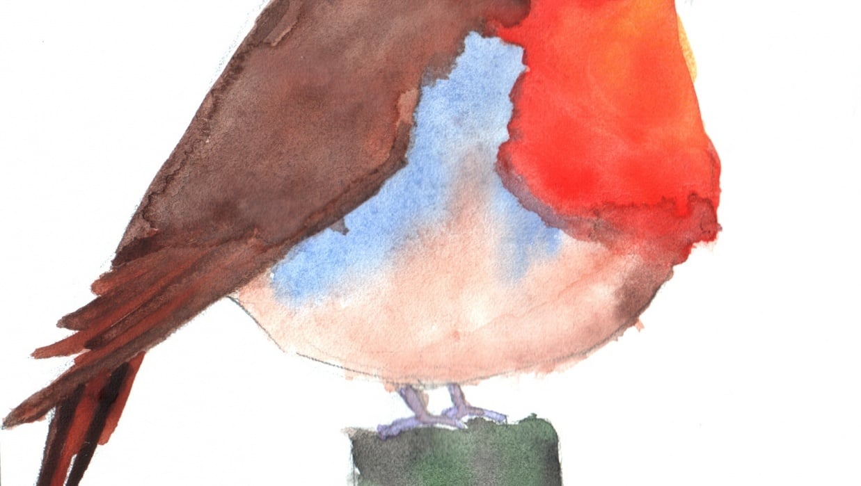 red robbin | Skillshare Student Project