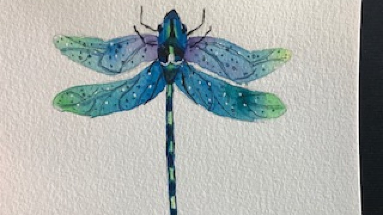 Dragonfly | Skillshare Student Project