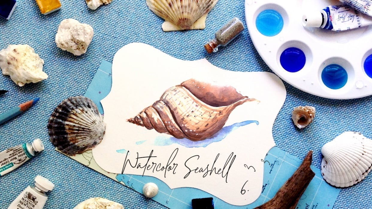 Watercolor Seashell {Sample Project} | Skillshare Student Project