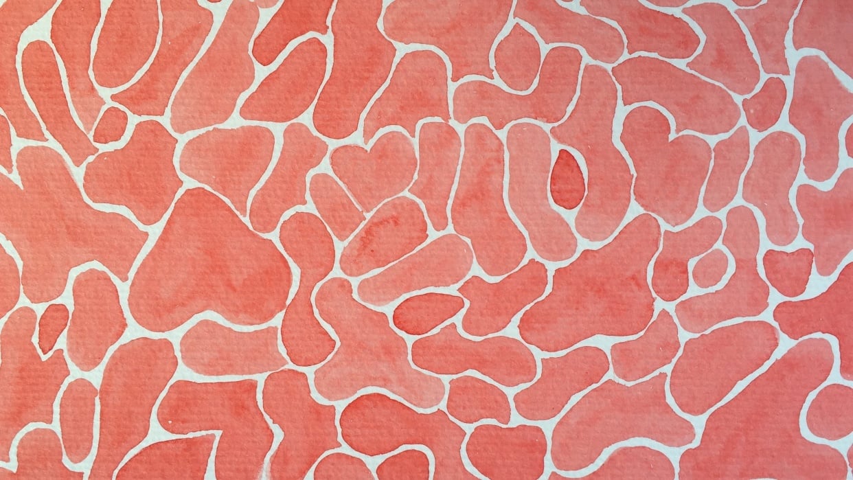 Week 1 - Practice Sheet | Skillshare Student Project