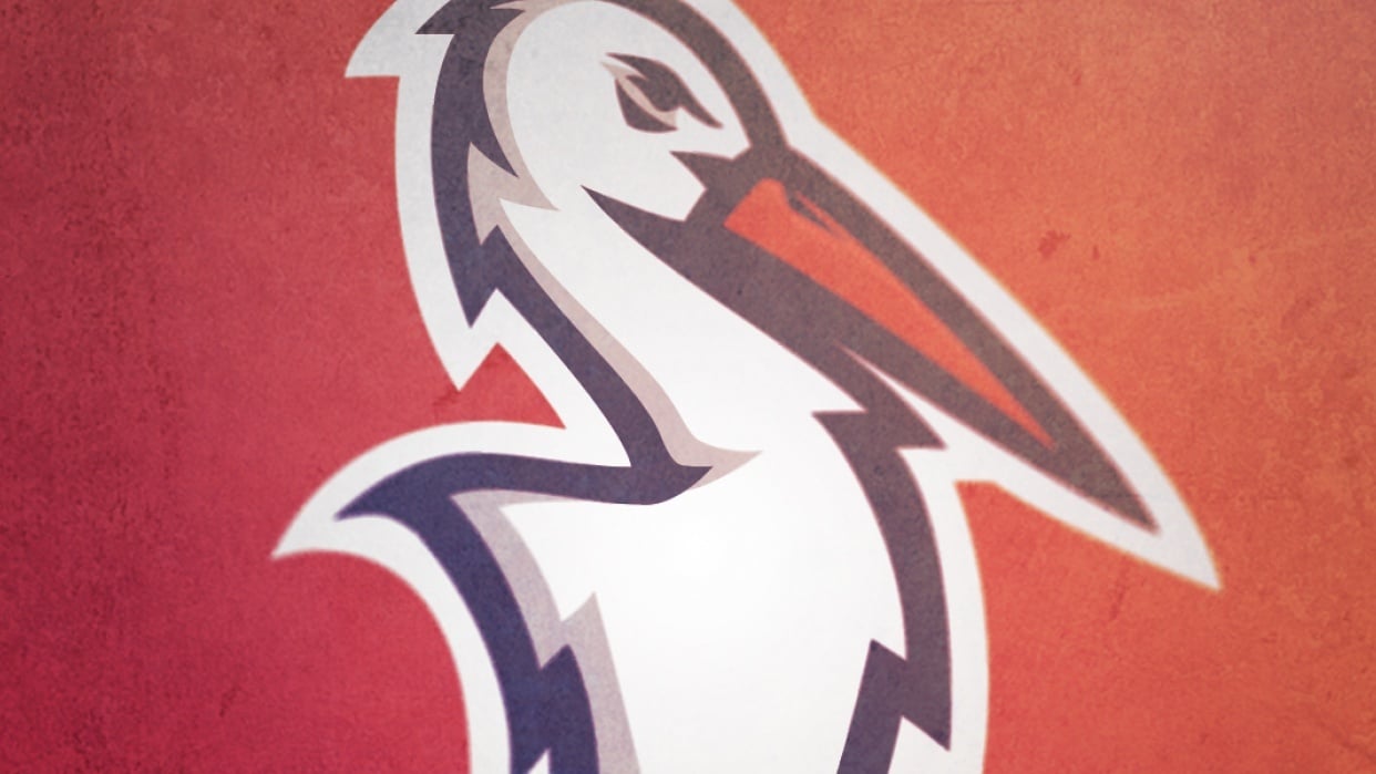 Storks Logo | Skillshare Student Project