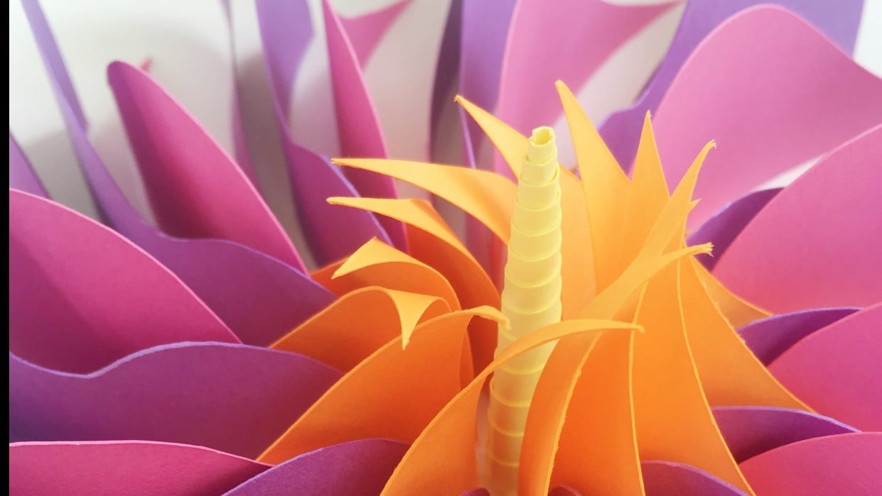Paper BLOOM | Skillshare Student Project