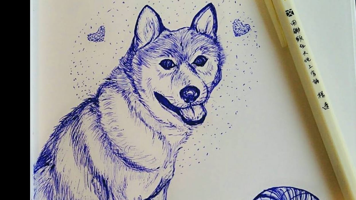 Ballpoint pen drawing | Skillshare Student Project