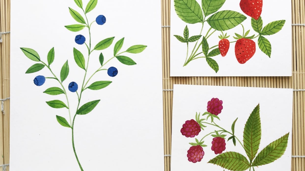 3 different berries in watercolor + ink | Skillshare Student Project