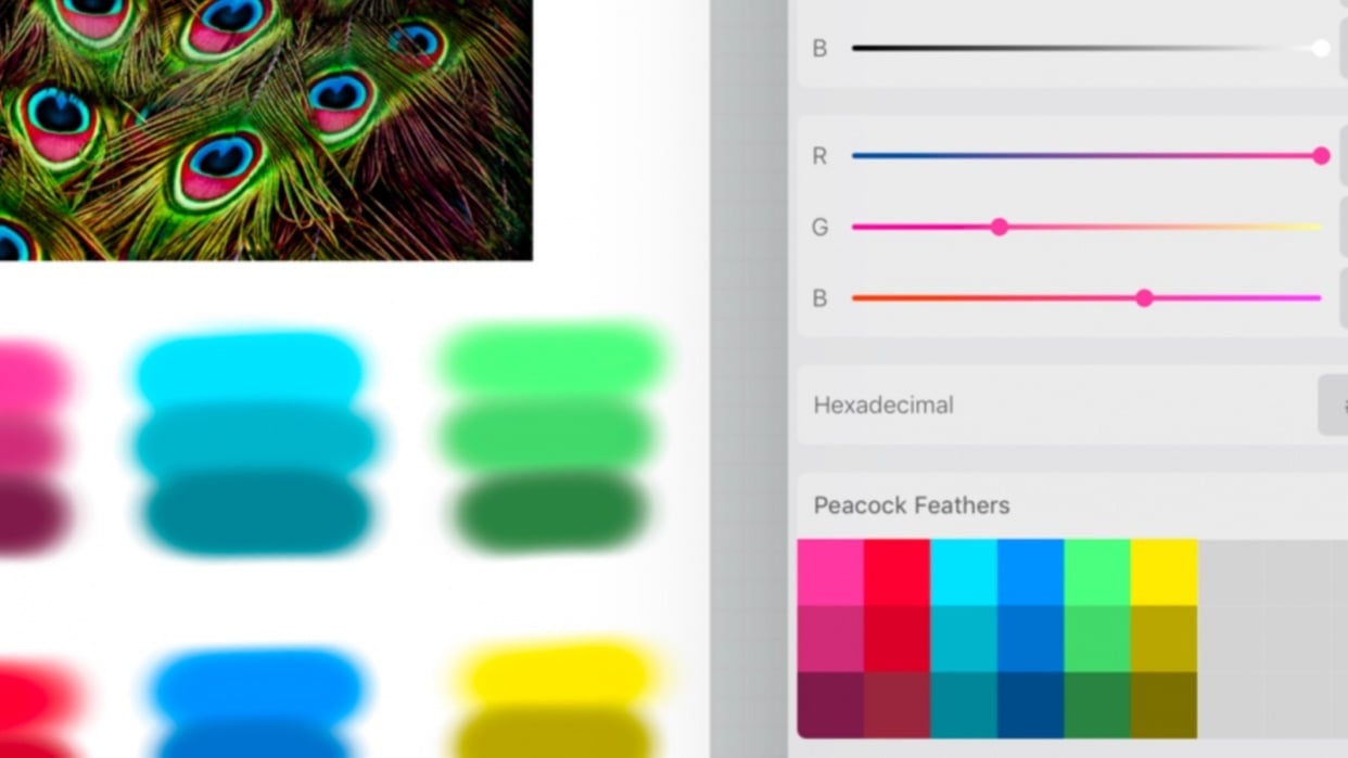 Peacock Feathers | Skillshare Student Project
