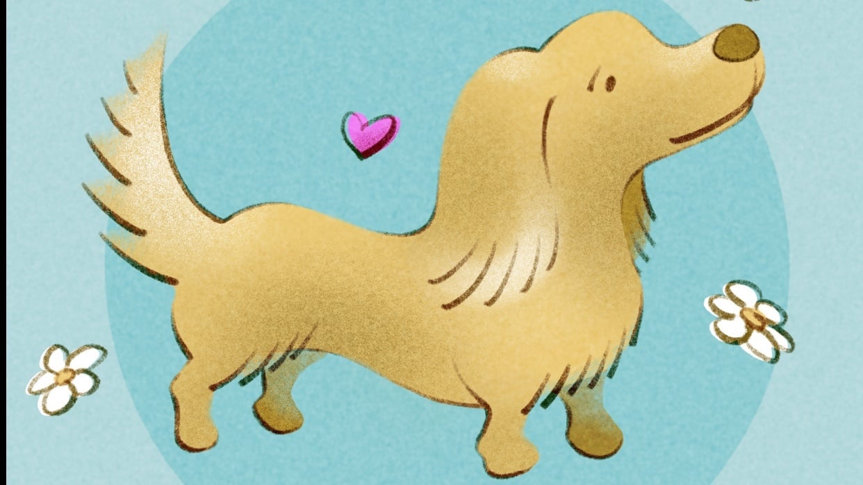 Daisy Dog | Skillshare Student Project