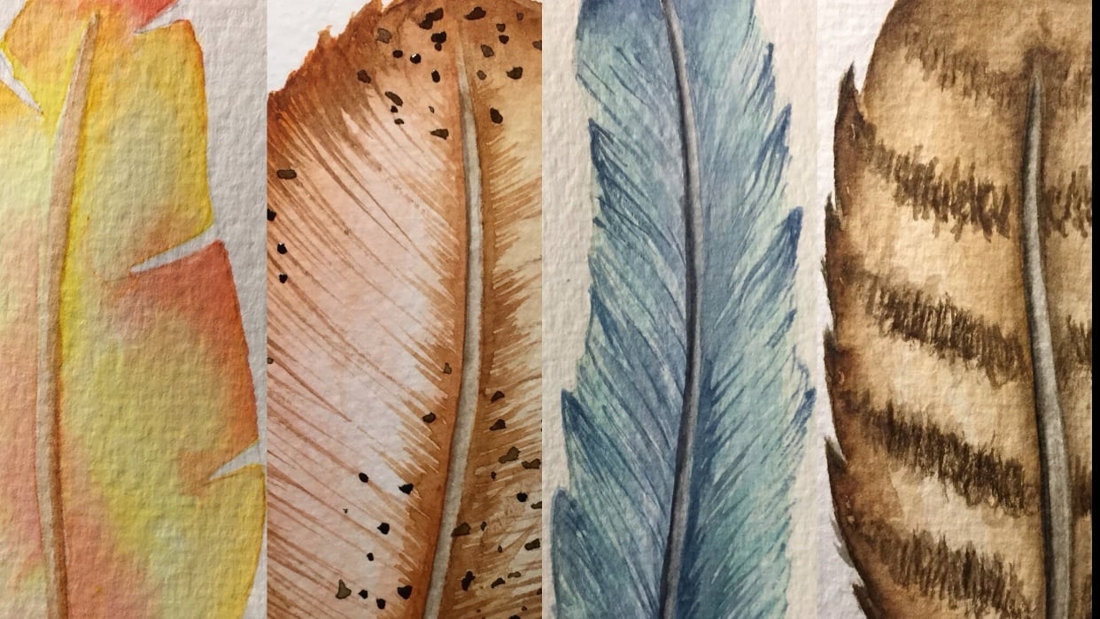Feathers flying | Skillshare Student Project