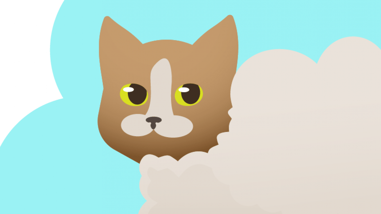 Sheep Cat | Skillshare Student Project