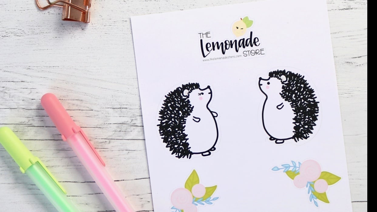 Hedgehogs Stickers Flat Lay | Skillshare Student Project