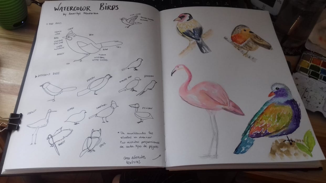 Watercolor Birds | Skillshare Student Project
