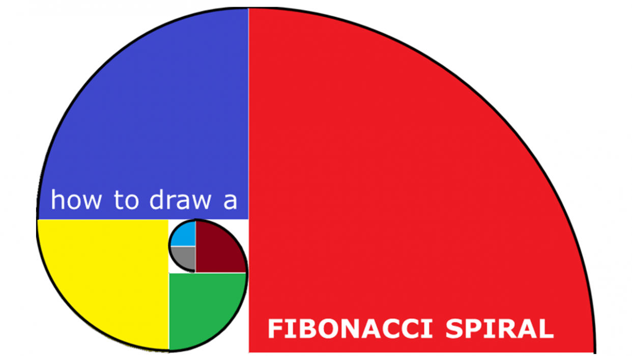 how to draw a FIBONACCI SPIRAL | Skillshare Student Project