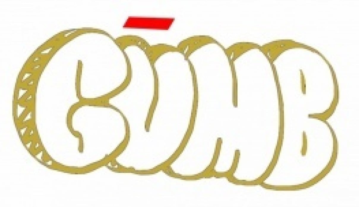 Dumb Genius | Skillshare Student Project